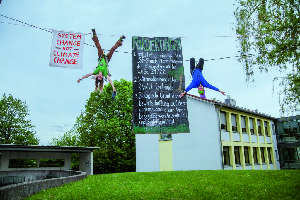 Der Professor im Baum - dieBildschirmzeitung