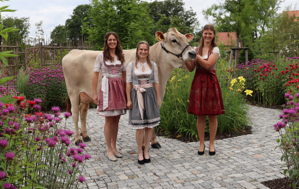 Die Bewerberinnen als Braunviehkönigin 2024 - dieBildschirmzeitung