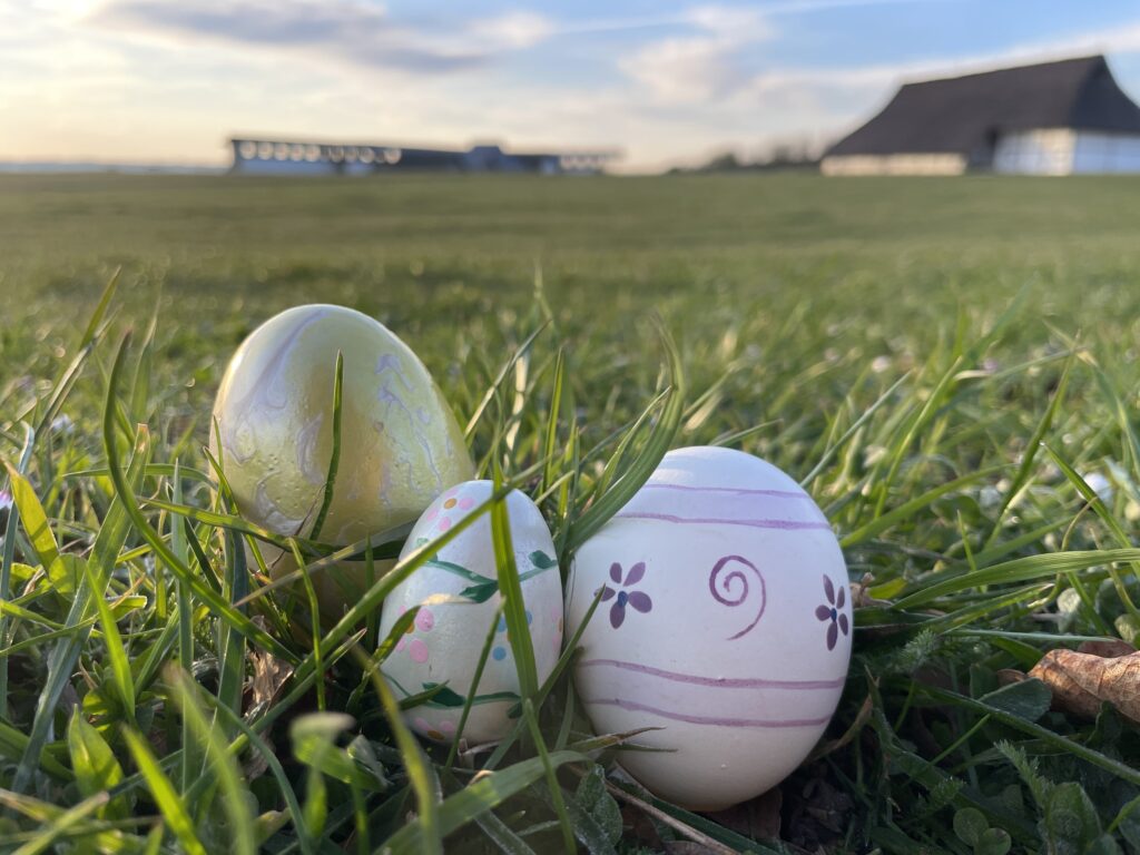 Ein buntes Programm für Groß und Klein - dieBildschirmzeitung